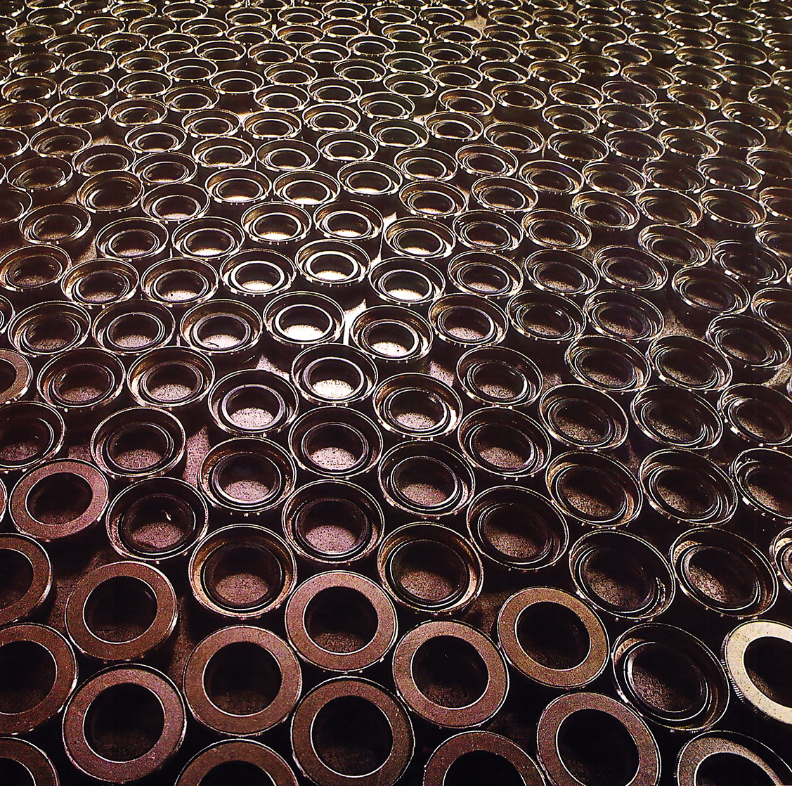 Oil Seals